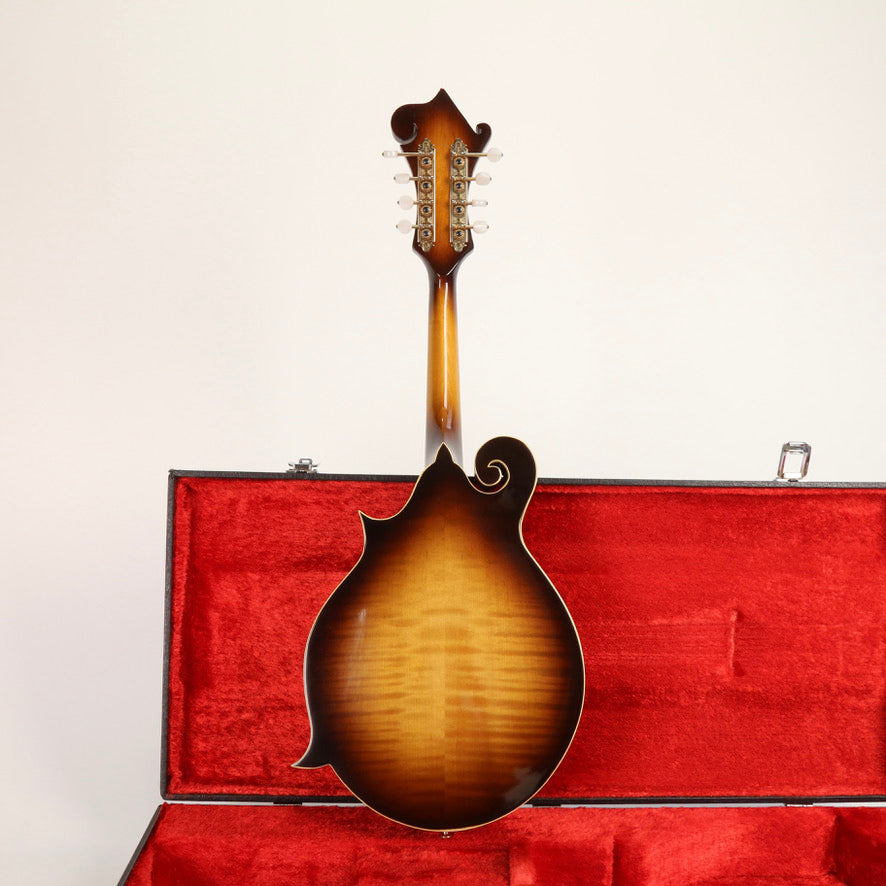 Aria Pro II Mandolin F Style PM 750 - Black Book Guitars